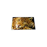 China P500QVF02.0 50.0 inch 4K LCD Screen Display for sale