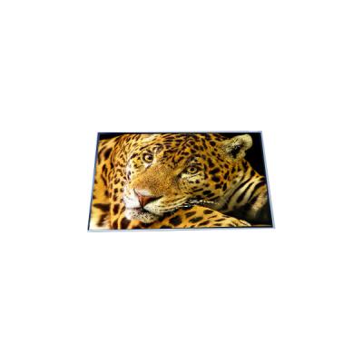 China P500QVF02.0 50.0 inch 4K LCD Screen Display for sale