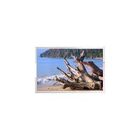 China BS067XMQ-L15 6.7 inch Touch LCD Display Screen for sale