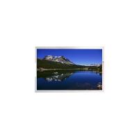 China TS088QDM-LW0 8.8 inch 1600*2560 LCD Screen Display for sale