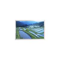 China M315DCA-EEB 32.0 inch 4K LCD Panel Display for sale