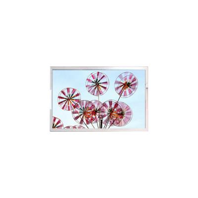 China TM150TDSG71-72 15.0 inch 1024*768 tft LCD Panel Display for sale
