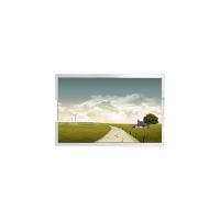 China B156HANAB.H 15.6 inch tft LCD Display Screen for sale