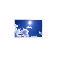 China LCD Touch Screen 6.7 inch BM6670LT1-1 LCD Panel for sale
