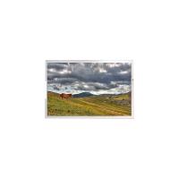 China LW270AHQ-ESG3 27.0 inch 2560*1440 OLED Screen Display for Gaming for sale