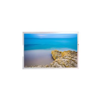 China ZE101BC-01B 10.1 inch LCD Panel 1280*800 LCD Screen Display for sale