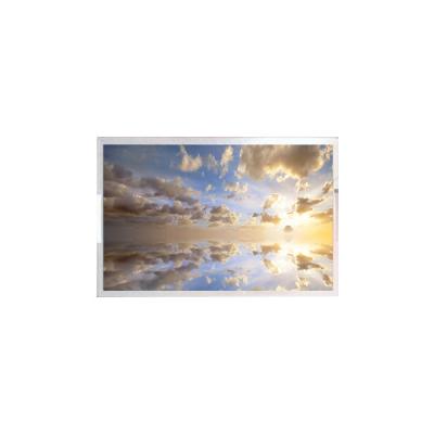 China C088AWR1-1  8.8 inch LCD Screen 1280*480 TFT LCD Display for sale