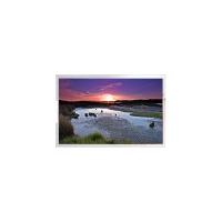 China MV238FHM-NX2 23.8 inch 1080p LCD Screen Display for sale
