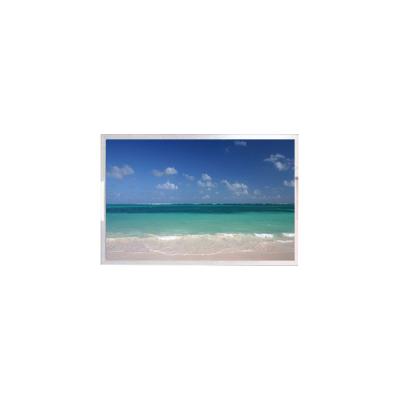 China P215QAN01.0 CELL  21.5 inch lcd screen HOT SELL for sale
