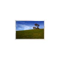 China P215QAN01.1 CELL 21.5 inch 4K LCD monitor lcd screen for sale