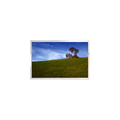 China P215QAN01.1 CELL 21.5 inch 4K LCD monitor lcd screen for sale