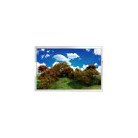 China GV154FHB-N80 15.4 inch 1920*1080 LCD Display Panel for sale