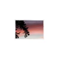 China G185HAN01.104 18.5 inch 1080p LCD Screen Display for sale