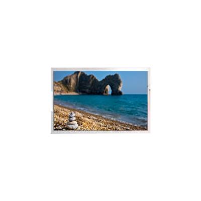 China 9.0 inch E090AWA6 R1 1280*720 LCD Screen for Automotive Display for sale