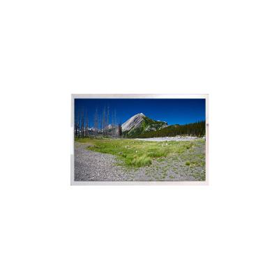 China P270QAN02.0 CELL 27.0 inch LCD Panel Screen FOR Digital Signage for sale