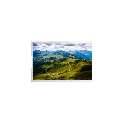 China BOE lcd display NS101WUM-N51 10.1 inch LCD Screen Display Panel for sale
