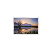 China 8.0 inch LCD Panel DISPLAY HSD080JHW3-A13 LCD screen for sale