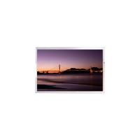 China New 10.1 inch BAA100AS1-1 LCD Screen Display Panel for sale