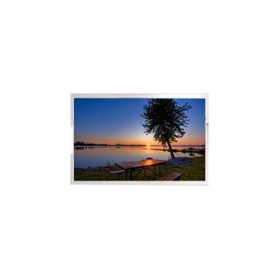 China New TM103UFKP02-01 10.3 inch LCD Screen Monitor for sale