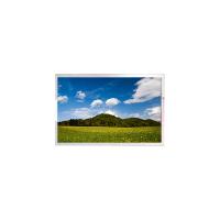 China Original TV101WXM-NA0 10.1 inch LCD Display screen for sale