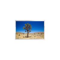 China LCD Display M238HAN03.6 CELL  23.8 inch LCD Screen Display Panel for sale