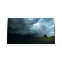 China New 11.0 inch LCD screen TS110QDM-LP0 1600*2560 LCD DISPLAY for sale