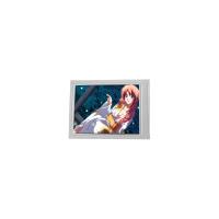 China F050A44-601 5.0 inch 800*480 TFT LCD Display Screen for sale