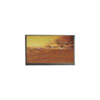 China 1920*1200 R160NW41 R2 16.0 inch LCD Screen FOR Laptop for sale