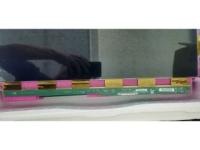China 21.5 inch 1920*1080 lcd screen P215HVN01.2 CELL a-si TFT LCD panel for sale