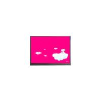 China Innolux 6.6 inch 720*1600 tft lcd display F066A16-4T1 LCD Screen for sale
