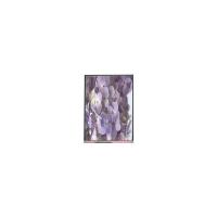 China IVO C070SWWC 7.0 inch TFT-LCD DISPLAY for sale