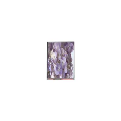 China IVO C070SWWC 7.0 inch TFT-LCD DISPLAY for sale
