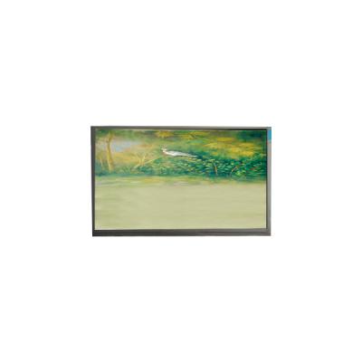 China U062SWR6-0 6.2 inch 720*1600 LCD Screen FOR Mobile Phone for sale