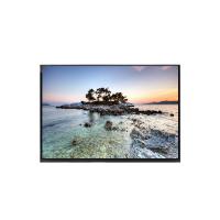 China Original NV105WUM-N51 10.5 inch LCD Screen 1200*1920 LCD Monitor for sale