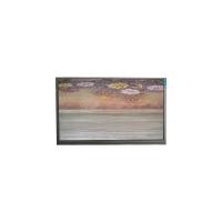 China 6.1 inch TFT LCD Panel U061SWR6-0 lcd screen display panel for sale