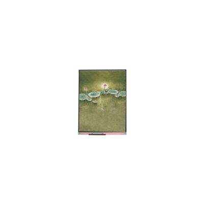 China 6.5 inch LCD screen panel 720*1600 LCD Module U065SWR6-0 for sale