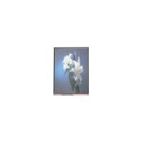 China C090SWP1-2 9.0 inch 800*480 LCD Screen for Automotive Display for sale