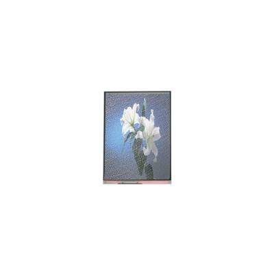 China C090SWP1-2 9.0 inch 800*480 LCD Screen for Automotive Display for sale