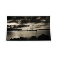 China 1920*1080 LCD panel MV238FHM-N61 LCD Screen Display Panel for sale