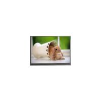 China F066A05-6T1 6.6 Inch LCD Display 720*1600 Resolution LCD IPS Panel for sale