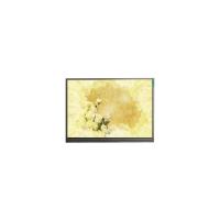 China 6.5 inch F066A10FHD3T-6T2 720*1600 LCD Screen Panel for sale