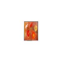 China Original C070AWP9 R0 7.0 inch LCD Display Panel for sale