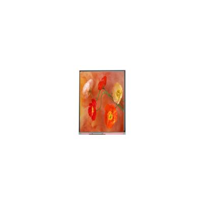 China Original C070AWP9 R0 7.0 inch LCD Display Panel for sale