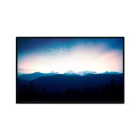 China Hot Sell 10.1 inch TV101WUB-NW2-D8P0 1200*1920 LCD display for sale