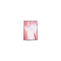 China 12.1 inch LS121K1LX02 1280*800 LCD Screen Panel for sale