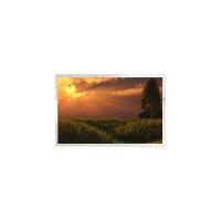 China P215HAN02.0 CELL 21.5 inch 1920*1080 LCD Screen Module for sale