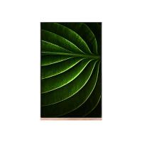 China LCD Screen 10.1 inch for  NV101WUM-N53 lcd module for sale