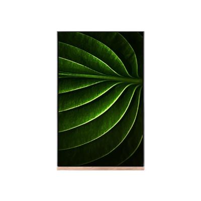 China LCD Screen 10.1 inch for  NV101WUM-N53 lcd module for sale