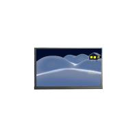 China 10.1 inch F101A11-6T4 1200*1920 LCD display panel for sale