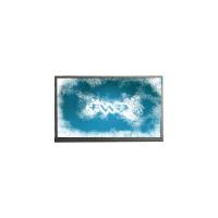 China F101A29-402 10.1 inch 1200*1920 LCD Module for sale